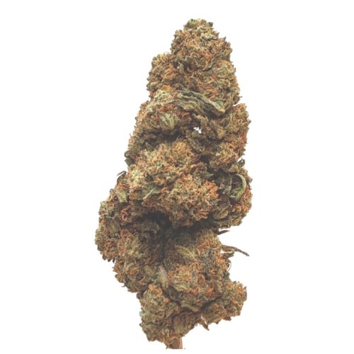 Accueil - Extrem-Lab